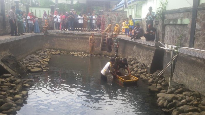 VIDEO: Begini Proses Ritual Adat Pattaungeng di Soppeng - Tribun-timur.com