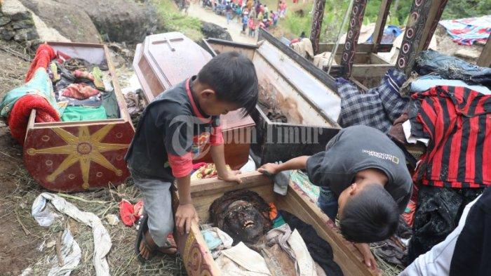 Ritual Adat Ma'nene di Toraja Utara - Tribun-timur.com