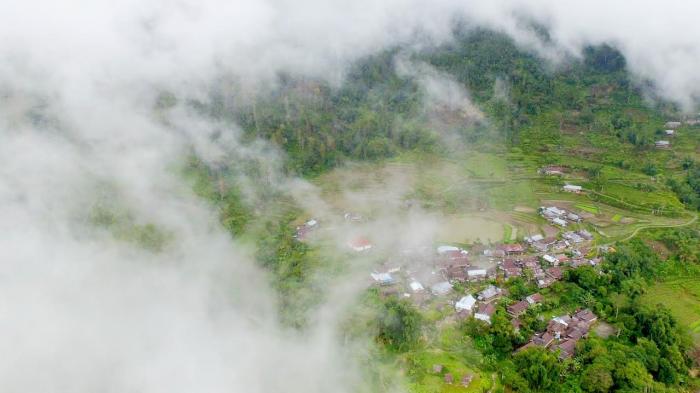 TRIBUNWIKI: Kecamatan Rongkong Ada di Pegunungan Lutra, Ini Data ...