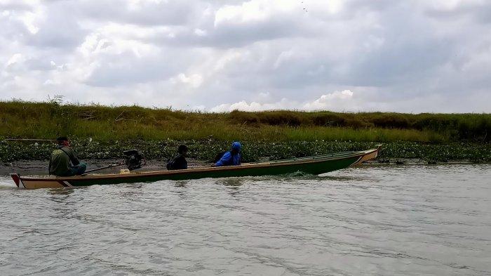 Nelayan Mengeluh, Ikan Tokke Penuhi Danau Tempe Wajo - Tribun-timur.com