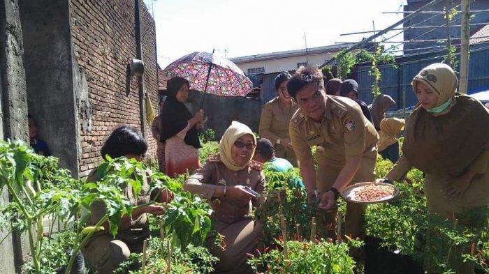 TRIBUNWIKI: Di Mana Itu Kelurahan Balang Baru? Ini Profil, Lokasi, Nama ...