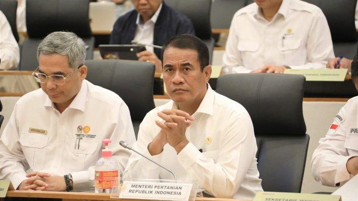 Hasil Panen Jagung Melimpah, Mentan Minta Antisipasi Harga di Tingkat Petani Anjlok - Halaman ...