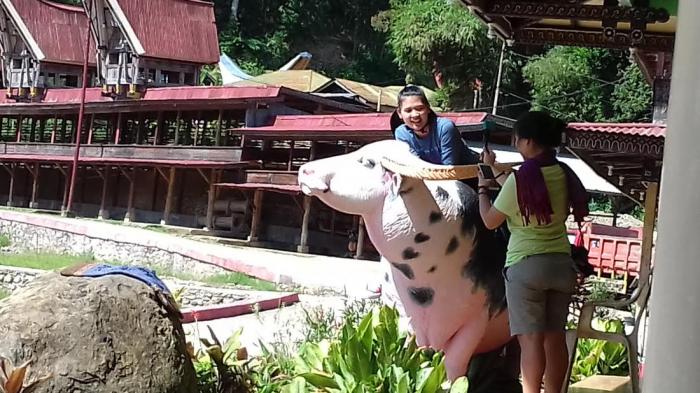 Yuk, Menginap dan Belajar Budaya Toraja di Museum Ne' Gandeng - Tribun ...