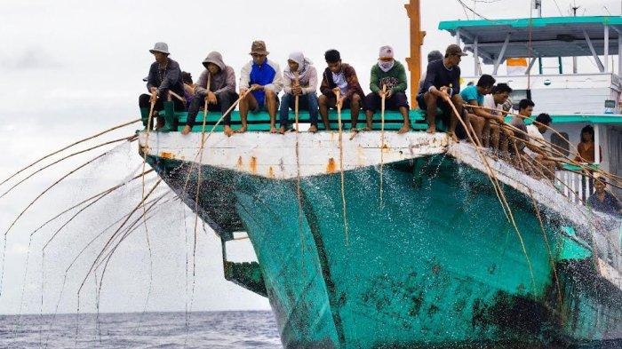 Peringati Deklarasi Djuanda, LPP WPP 714 Bahas Strategi Kelestarian ...