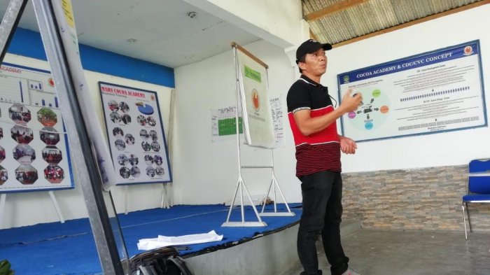 Begini Cara PT MARS Symbioscience Indonesia Tingkatkan Produksi Kakao ...