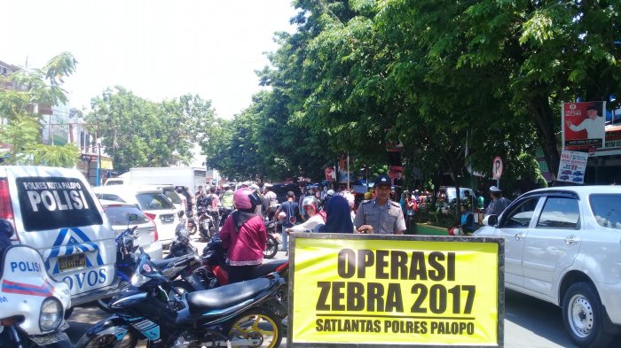 Hari Pertama Operasi Zebra, Ini Pelanggran Terbanyak di Kota Palopo - Tribun-timur.com