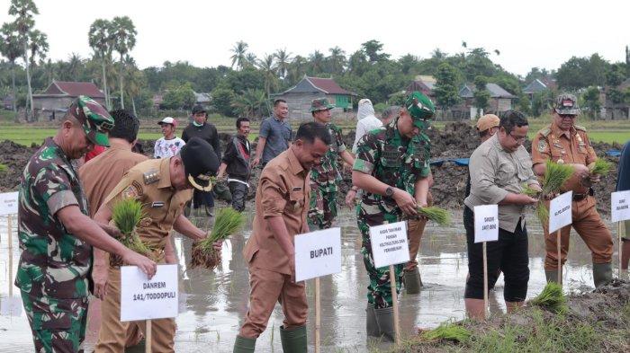 Tingkatkan Produksi Pertanian, Kementan Optimalkan Lahan Rawa dan ...