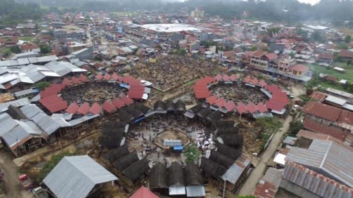 Suasana Pasar Hewan Bolu Toraja Utara dari Udara, Kerbau Rp 1 miliar ...
