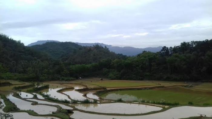 FOTO: Indahnya Pemandangan Menuju Tondong Tallasa - Tribun-timur.com