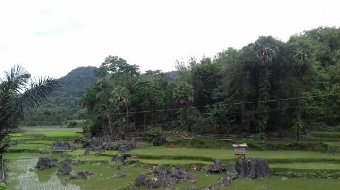 FOTO: Indahnya Pemandangan Menuju Tondong Tallasa - Tribun-timur.com