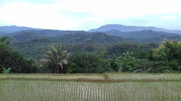 FOTO: Indahnya Pemandangan Menuju Tondong Tallasa - Tribun-timur.com