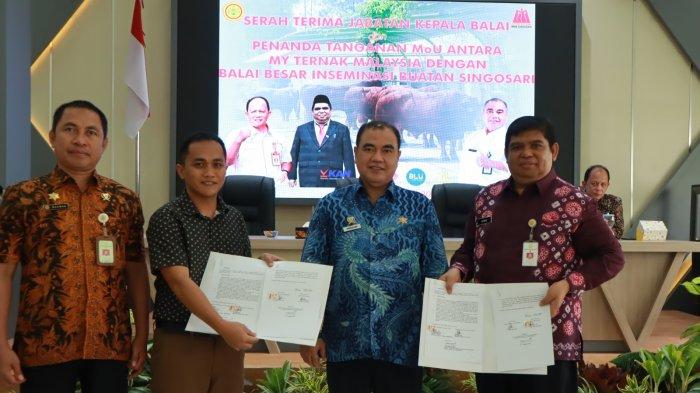 BBIB Singosari Kementan Jalin Kerjasama dengan Myternak Trading ...