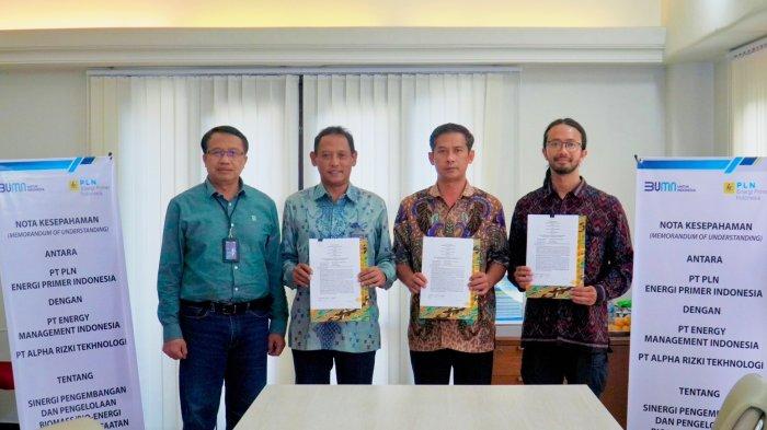 Penuhi Kebutuhan Pasokan Biomassa, PLN EPI Jalin Kerjasama dengan PT EMI dan PT Artekno - Tribun ...