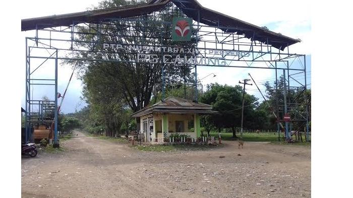 Jual Lahan Tebu Negara, Ketua Sarikat Pekerja PG Camming Diperiksa ...