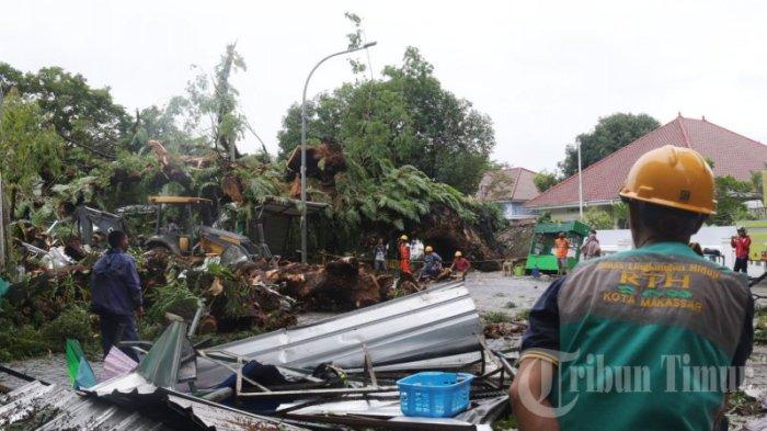 Pohon Tumbang, 5 Warga Dilarikan ke Rumah Sakit - Tribun-timur.com