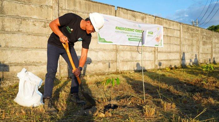 Lewat Program Energizing Green Spaces, PLN Tanam 450 Bibit Pohon di ...