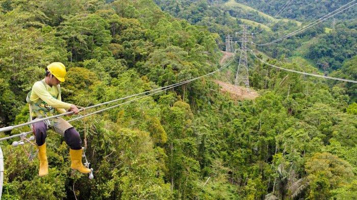 PLN Pastikan SUTT 150 kV Kolonedale - Tentena dan GI Terkait Rampung di ...