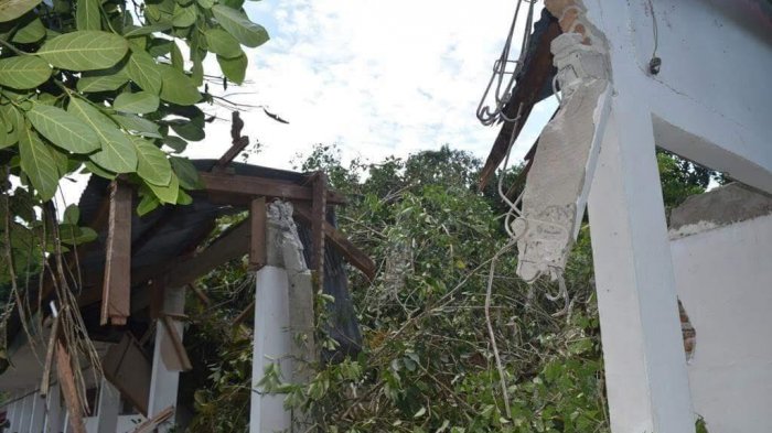 Pohon Tumbang Timpa 3 Ruang Kelas SMAN 4 Tana Toraja - Tribun-timur.com Pohon Tumbang Timpa 3 Ruang Kelas SMAN 4 Tana Toraja - Tribun-timur.com