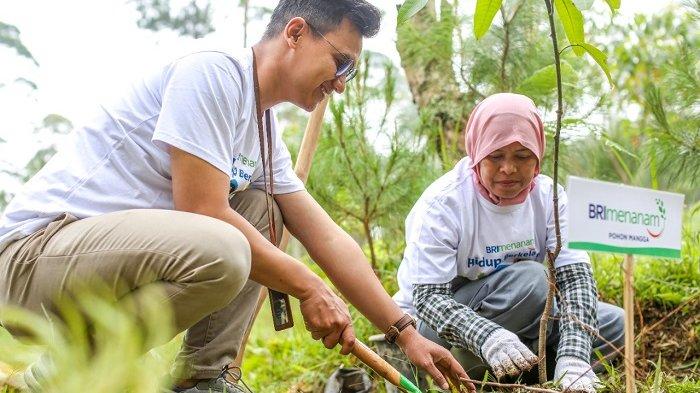 Nasabah BRI Ungkap Manfaat Program BRI Menanam, Lingkungan Jadi Hijau ...