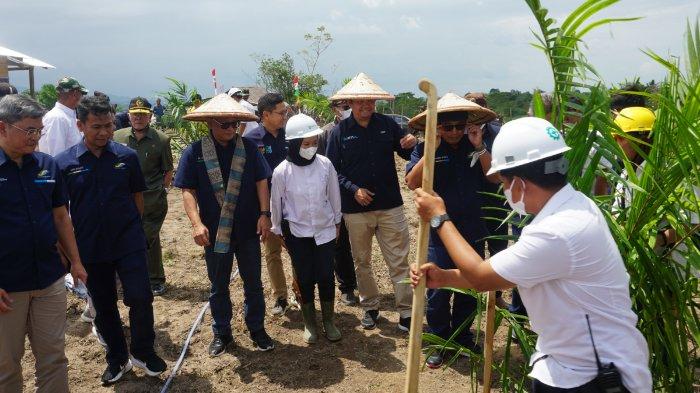 Bupati Enrekang Dukung Rencana Pengembangan Budidaya Kelapa Sawit di ...