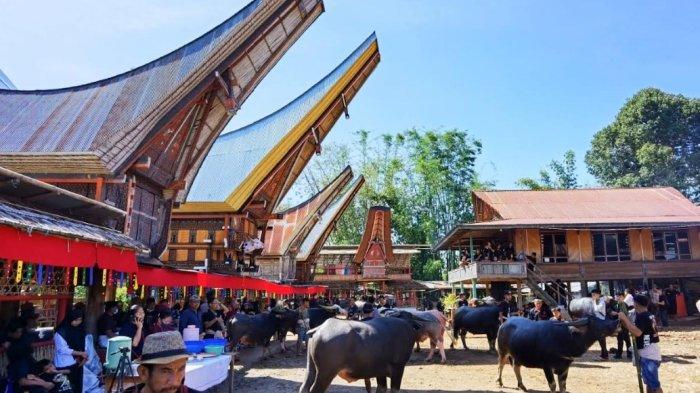 MUI Bolehkan Warga Muslim Toraja Gelar Rambu Solo, Tapi Larang 3 ...