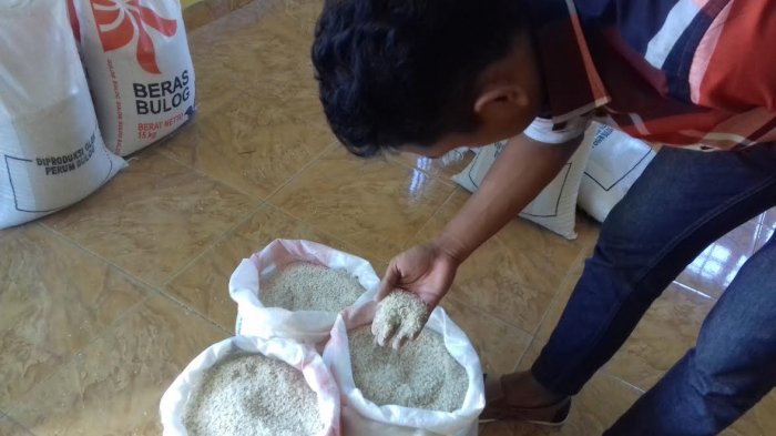 Pemprov Sulsel Bakal Luncurkan Program ATM Beras, Begini Manfaatnya ...