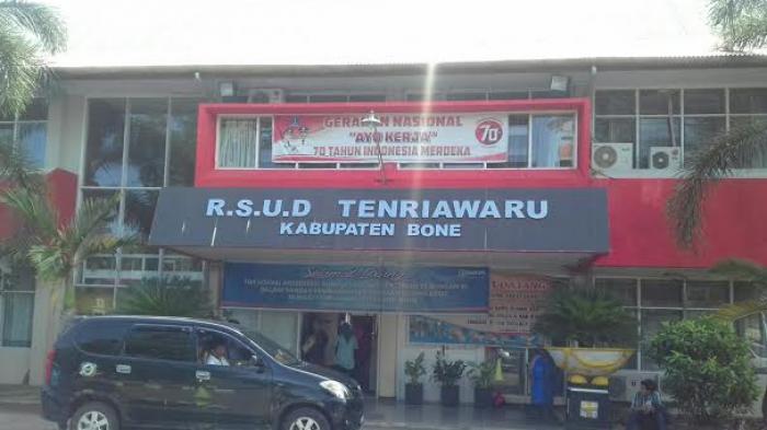 Januari, RSUD Tenriawaru Bone Tangani 80 Pasien DBD - Tribun-timur.com