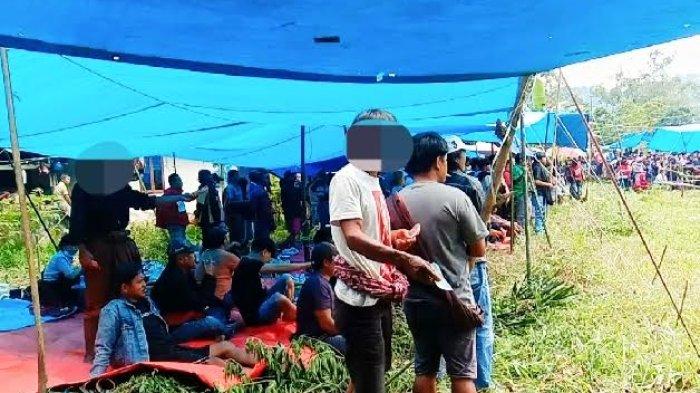 Judi Sabung Ayam Marak di Toraja, Benarkah Ada Beking Oknum TNI-Polri? - Tribun-timur.com