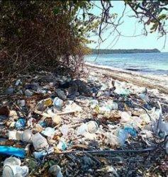 Sampah Menumpuk di Bibir Pantai Pulau Kayuadi - Tribun-timur.com