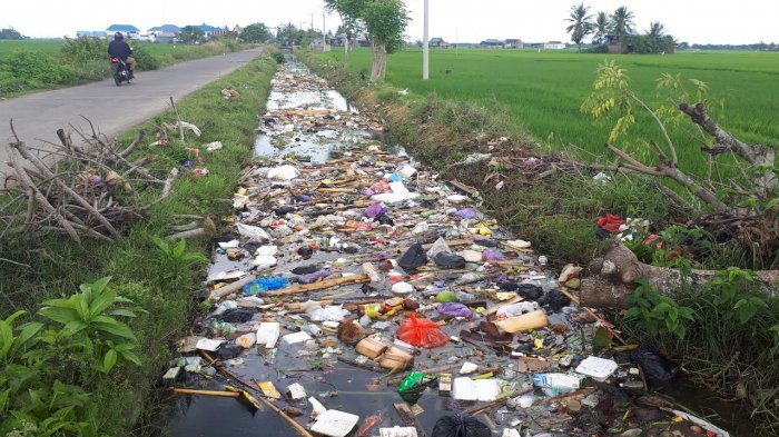 Irigasi Penuh Sampah Busuk, Begini Reaksi DLH Maros - Tribun-timur.com