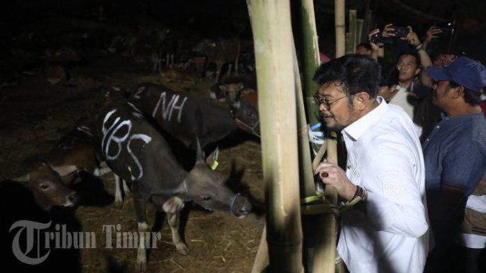 Mentan Syahrul Yasin Limpo Pastikan Ketersediaan Sapi Kurban di Sulsel - Tribun-timur.com