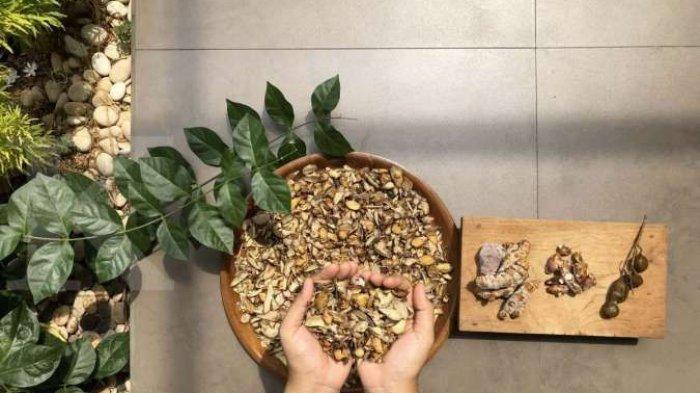 6 Resep Ramuan Jamu Tradisional untuk Meningkatkan Daya Tahan Tubuh ...