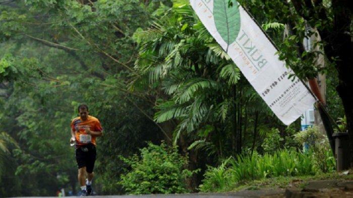 Bukit Baruga, Tempat Manusia dan Alam Hidup Dalam Harmoni - Tribun ...