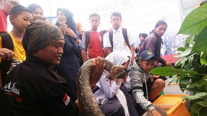 Piton Besar Ini Sedot Perhatian di Ekspo PIFAF 2019 - Tribun-timur.com