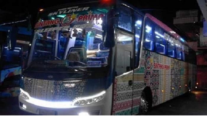 Bintang Prima Operasikan Sleeper Bus Rute Makassar-Toraja - Tribun ...