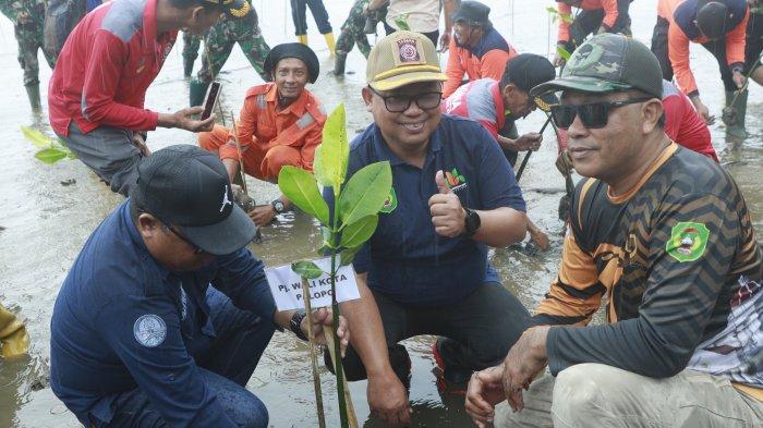Hari Lingkungan Hidup Sedunia, Pemkot Palopo Tanam 1.200 Mangrove - Tribun-timur.com