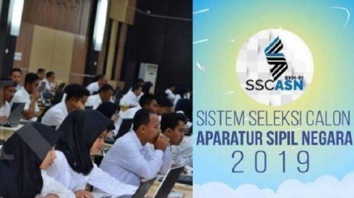 sscasn login, Cara Cek Pengumuman Hasil Seleksi Administrasi CPNS 2019 ...