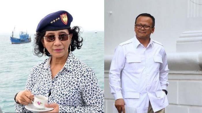 Benarkah Edhy Prabowo Izinkan Ekspor Benih Lobster yang Pernah Dilarang Keras Susi Pudjiastuti ...