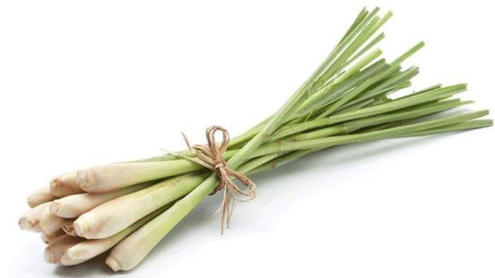 8 Manfaat Sereh untuk Kesehatan, Salahsatunya Atasi Insomnia - Tribun ...