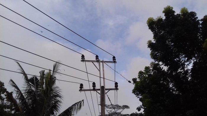 PLN Minta Maaf Atas Pemadaman Listrik di Makassar dan Gowa, Apa Penyebabnya? - Tribun-timur.com