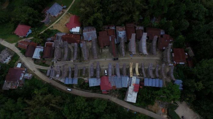 FOTO: Begini Pemandangan Kompleks Tongkonan Pallawa Toraja Utara dari ...