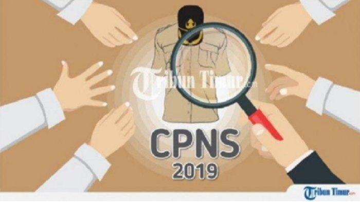 UPDATE CPNS 2019, Daftar PPPK atau CPNS 2019? Inilah Perbedaan Gaji dan ...
