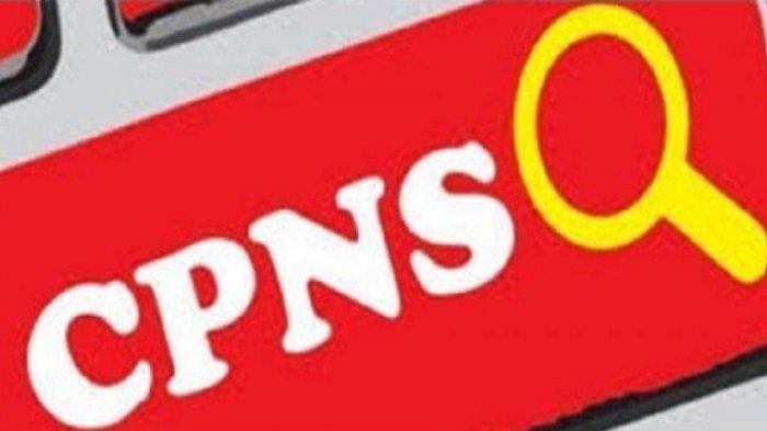 Update Cpns 2019 Pendaftaran Cpns Kemenkumham Resmi Ditutup Berikut