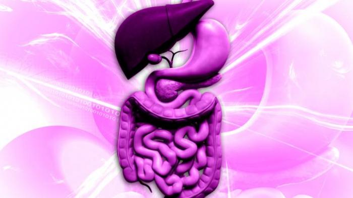 Ini Cara Paling Efektif Sehatkan Usus - Tribun-timur.com