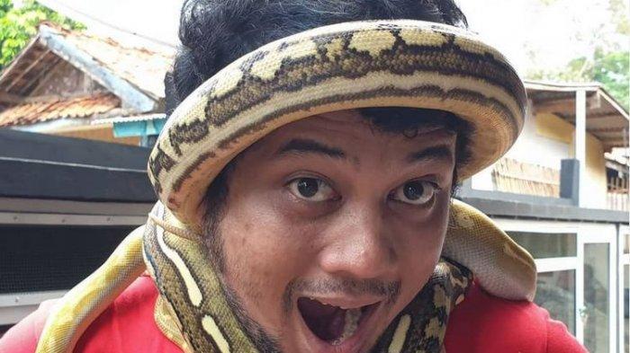 Viral Video Pawang Ular Tewas Digigit King Kobra, Panji Petualang yang ...