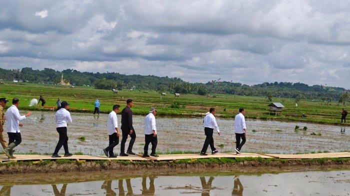 Jokowi Tinjau Bantuan 300 Pompa Air di Bone, Upaya Cegah Ancaman El-Nino di Sulsel - Tribun ...