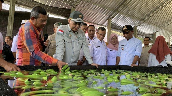 Wamentan Dorong Pisang Blitar Tembus Pasar Ekspor Lewat Korporasi Petani - Tribun-timur.com