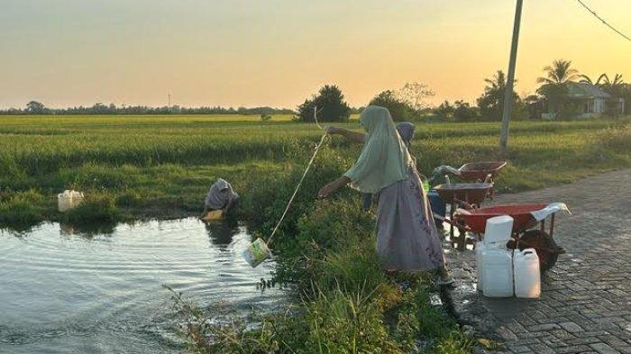 Krisis Air Bersih, Warga Bontoa Maros Sulsel Terpaksa Pakai Air Sawah untuk Mandi dan Cuci ...