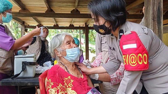 Warga Tombang Kalua Tana Toraja Divaksin di Bawah Kolong Rumah - Tribun ...