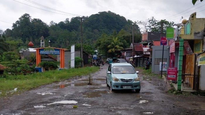 Warga Sinjai Tanam Pohon di Jalan Rusak karena Kesal Pemprov Sulsel Tak Kunjung Perbaiki ...
